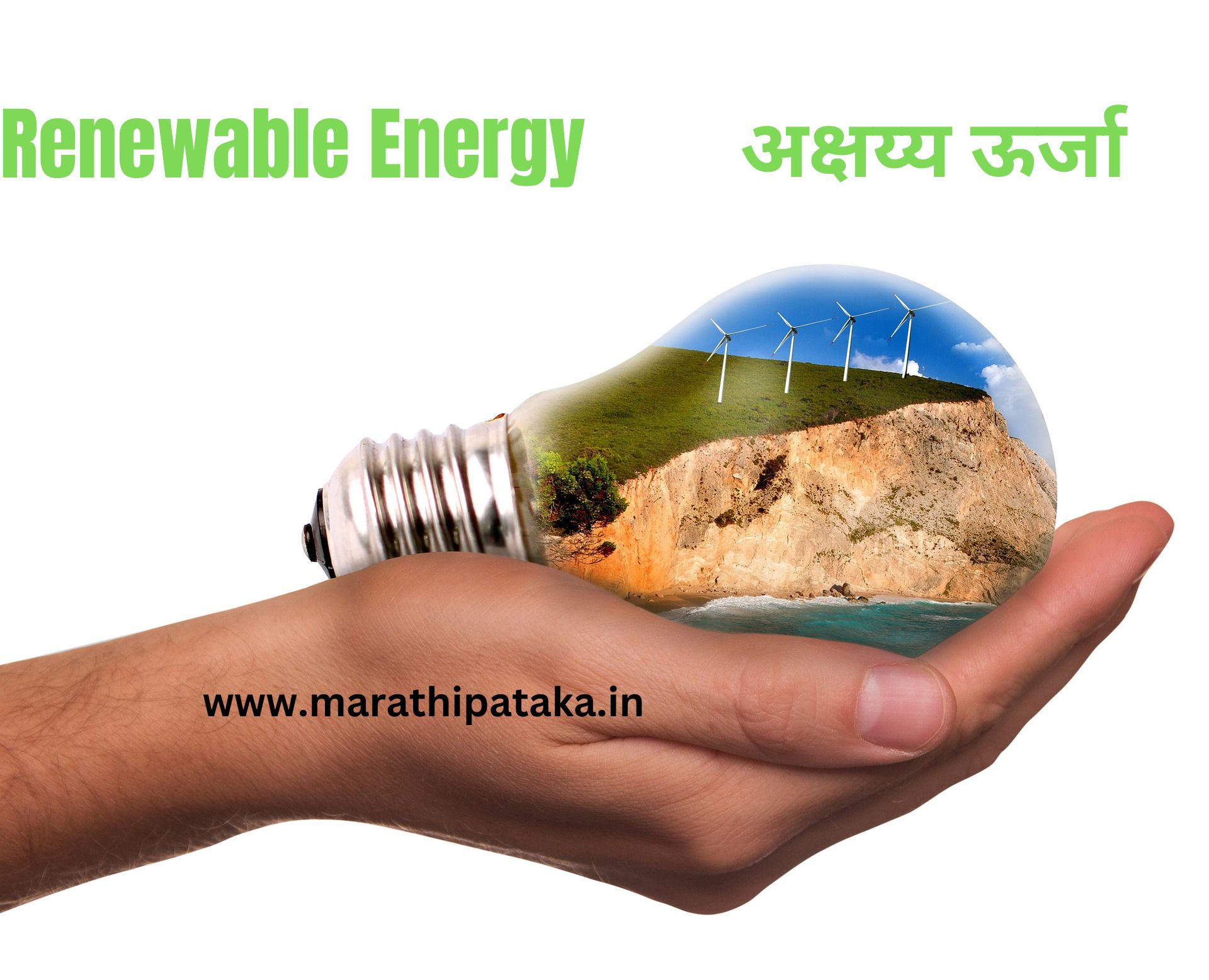 Renewable Energy sources to Combatting Climate Change